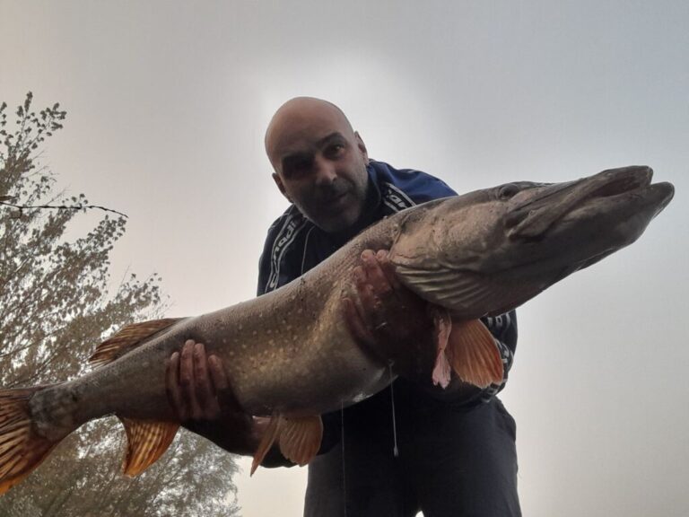 "Kako sam zategnuo štapom, ogromna riba samo je skočila nasred vode!"