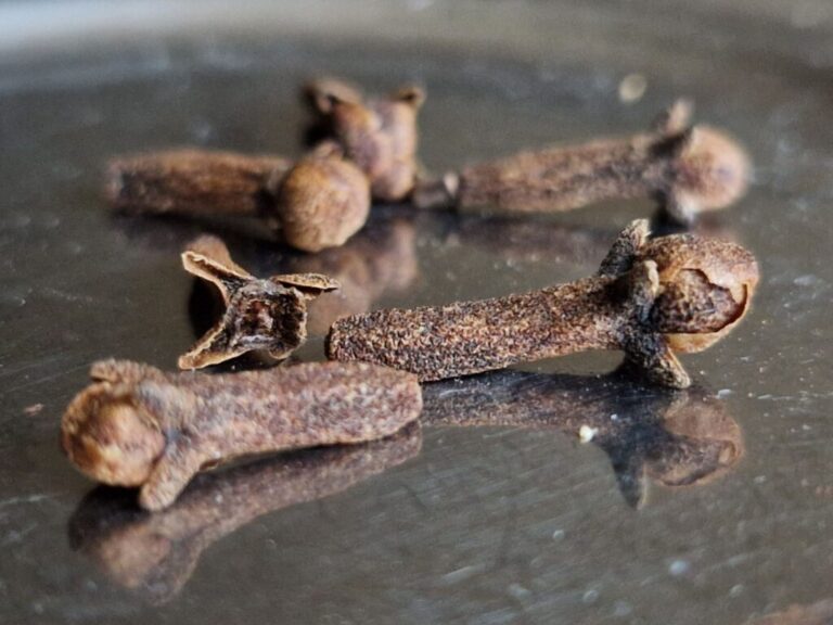 Ovo je najljekovitiji začin na svijetu, uništava krvne ugruške, stanice ...