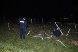 Sletio s goričkog puta i porušio sadnice vinove loze